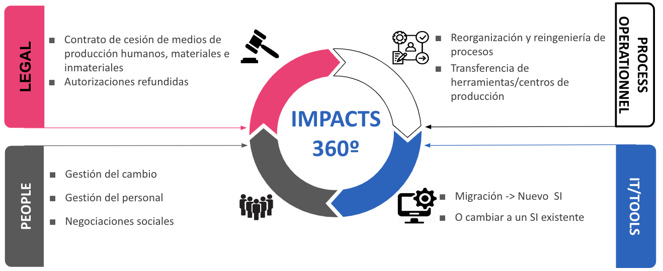 Carve In/Out: pilares, principales componentes, actividades