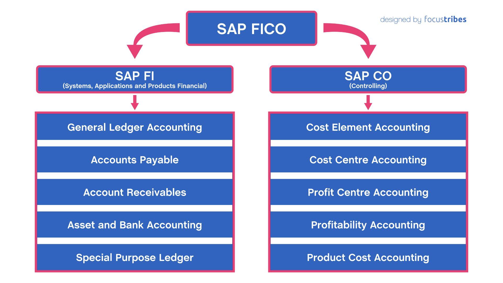 SAP FI CO : Guide du module finance et contrôle de gestion de SAP