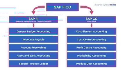 SAP FI CO: Guide to the SAP Finance and Controlling module