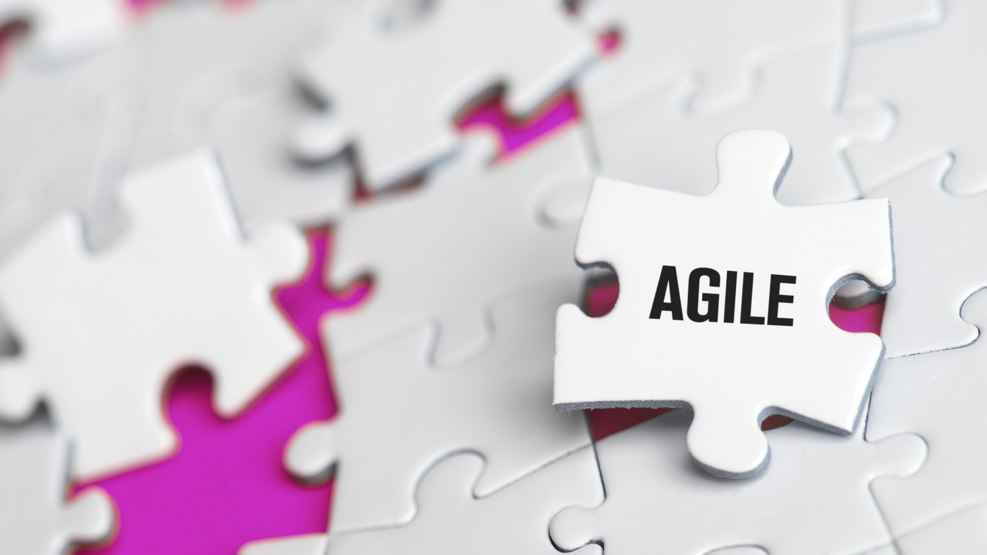 Agile Methodology : What is it? Discover our FocusTribes guide